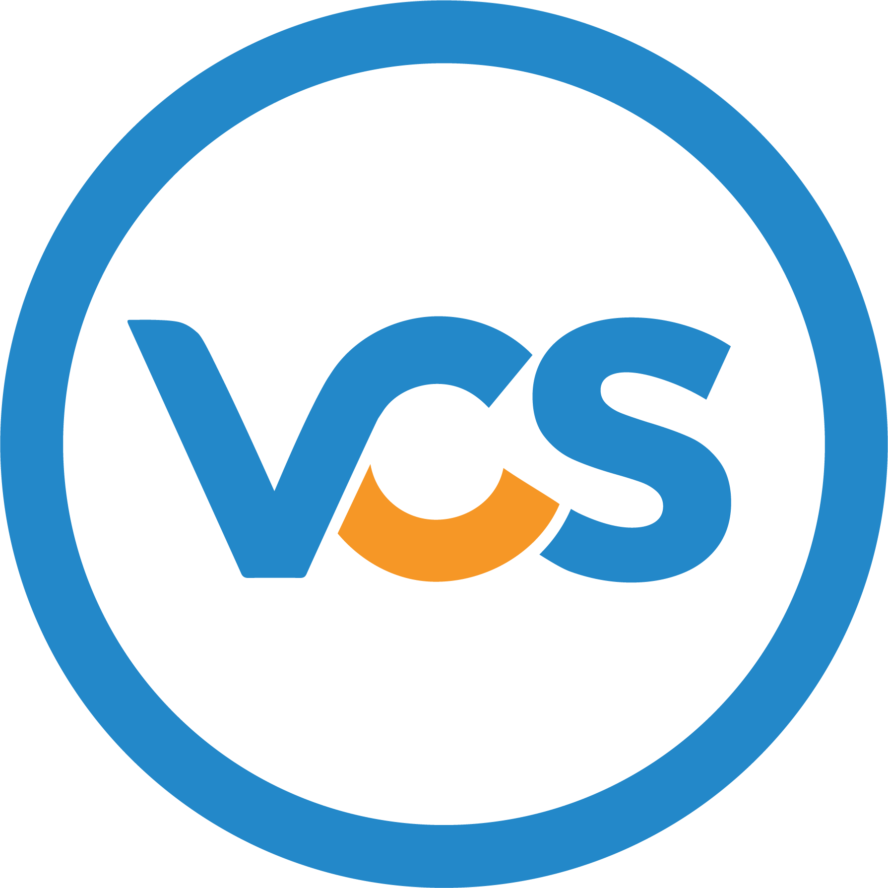 About VCS - VCS HR